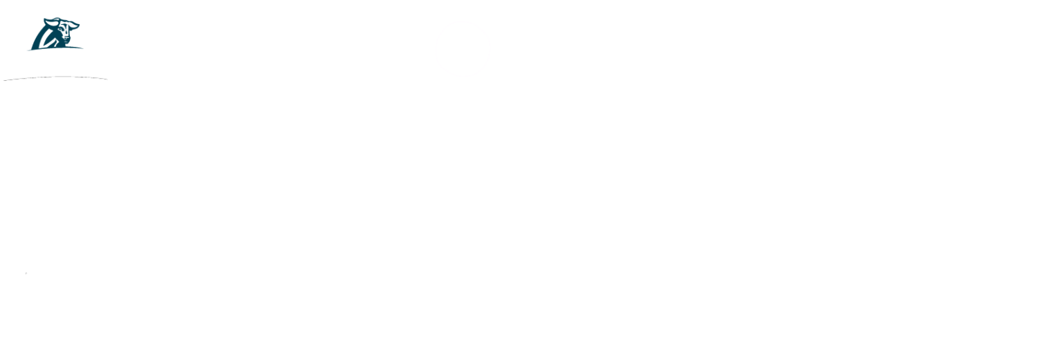 Rangoon – Agence marketing communication positive business Paris I Nantes